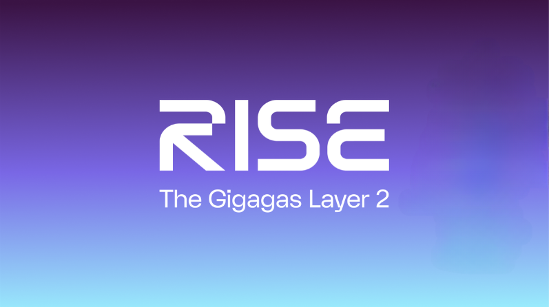 라이즈체인 (Rise Chain)이란 무엇일까? 생태계 정보