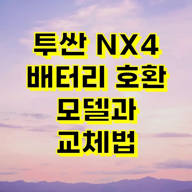 투싼 NX4 배터리 호환 모델과 교체법