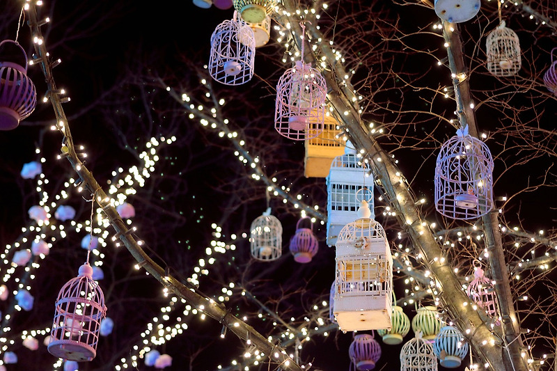 청도 여행, 숨겨진 매력을 찾아서