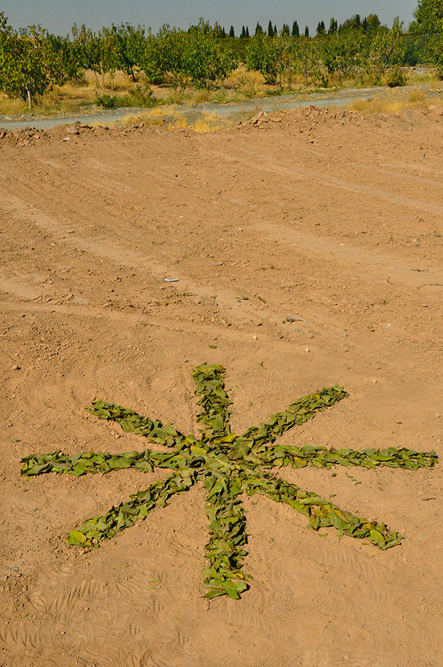 Geometry in Nature
