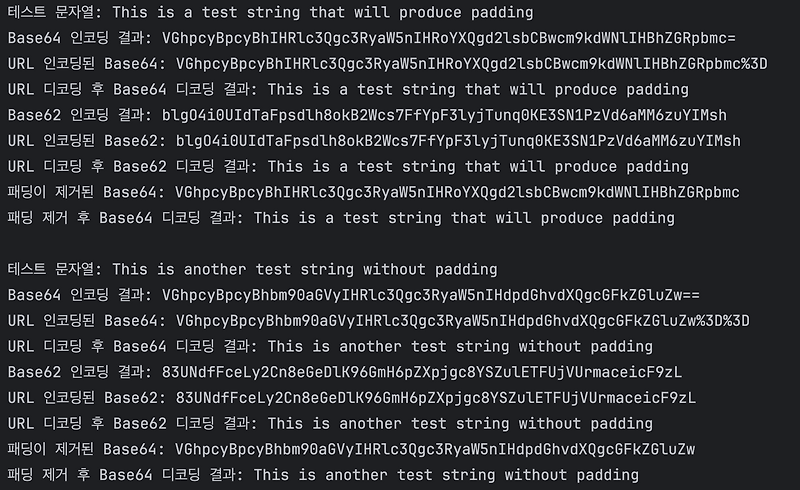 [PharmNav]Base62 vs Base64 비교 분석