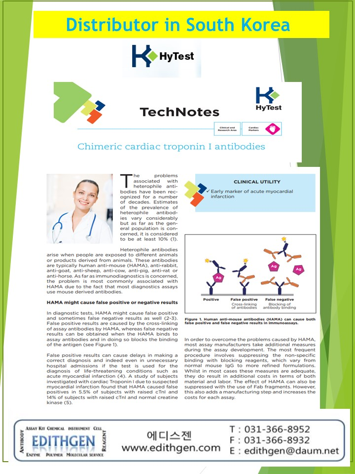 (Hytest 한국공식대리점_에디스젠_edithgen@daum.net) Cardiac Troponin I antibodies 을 ...
