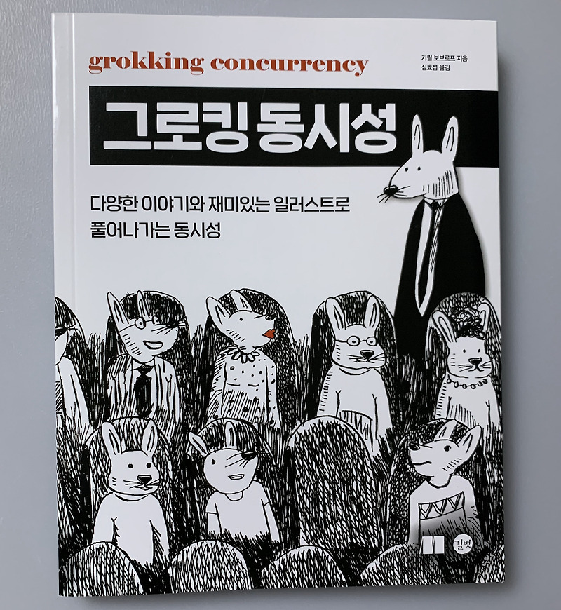 '그로킹 동시성 (grokking concurrency)' 구매