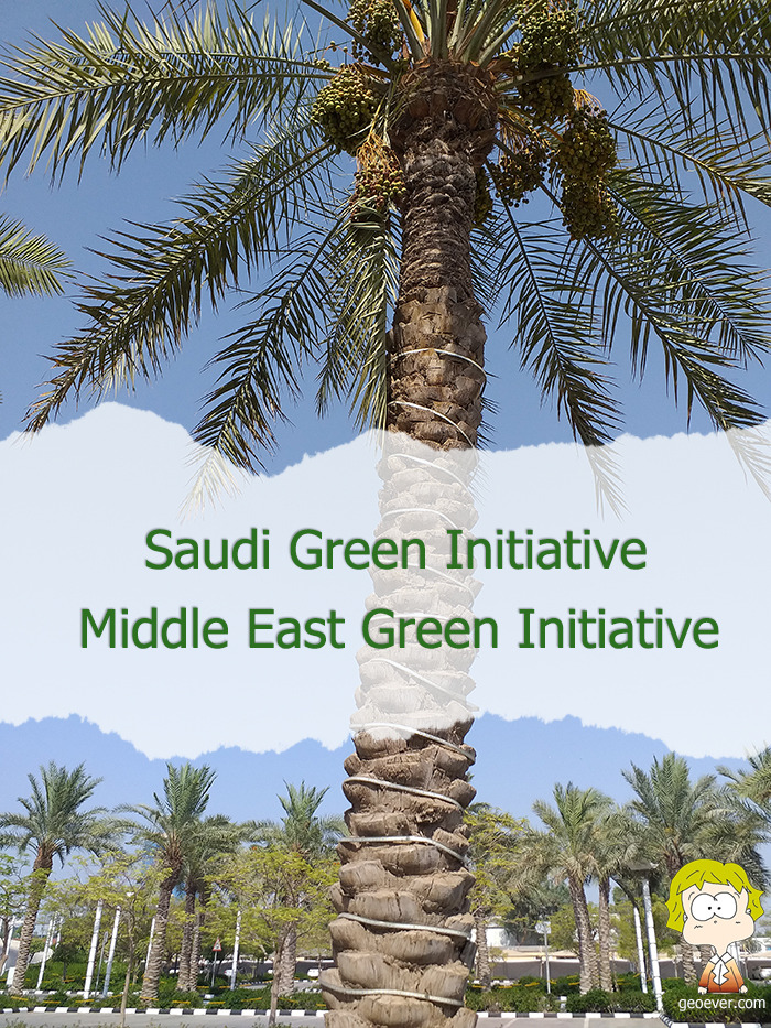 Green Initiatives - Saudi Green Initiative & Middle East Green Initiative