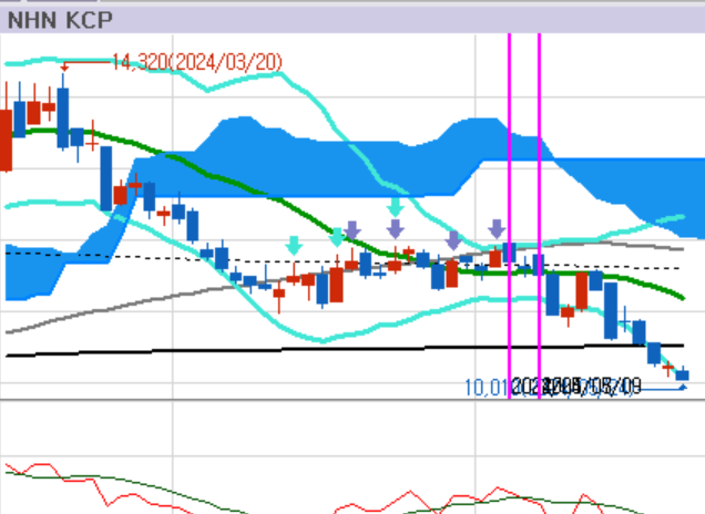 [실전매매] NHN KCP (상승눌림목 / 2.2% (3d) 11,000 )