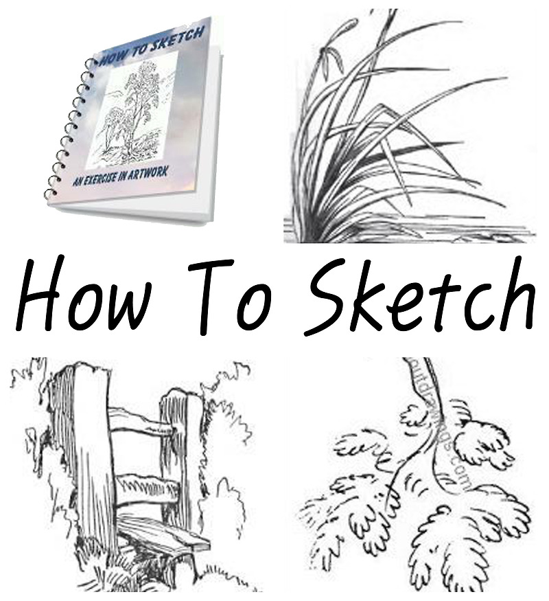 How To Sketch