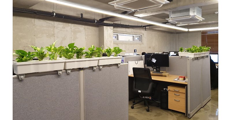 파티션화분은 타사 화분과 어떤 차이점이 있을까?