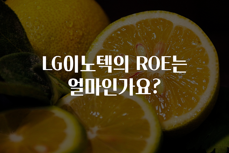 유용한정보 LG이노텍의 ROE는 얼마인가요? 알아봤어요