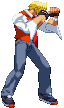 Roy vs Terry Bogard