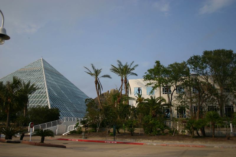 [미국] 갈베스톤 (Galveston) - 2008 :: 나의 기록들