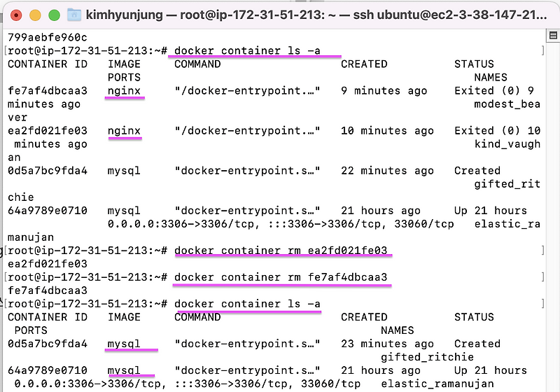 (230516) 알고리즘 - 삽입 정렬 / AWS & Docker - container 편집, glances,