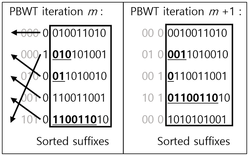 PBWT (Positional Burrows-Wheeler Transform)