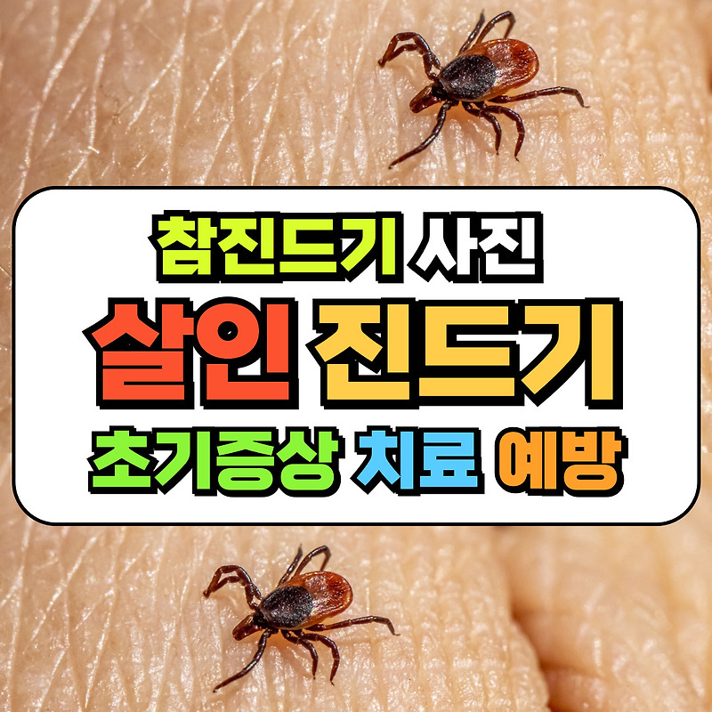 참진드기 증상 물리면 감염 치사율 높은 살인진드기 사진 SFTS