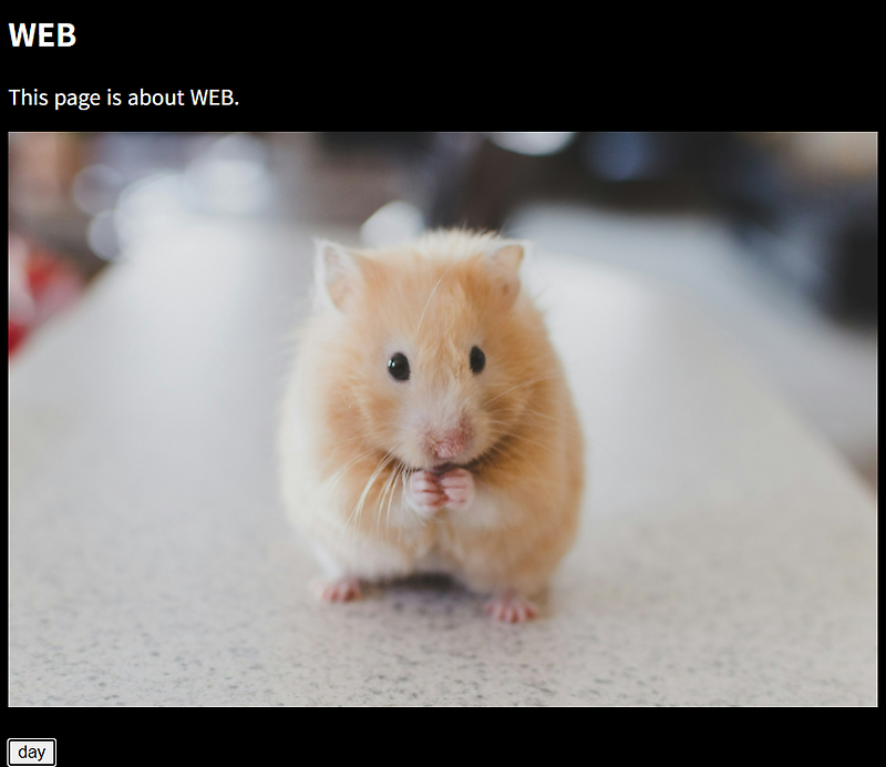 생활코딩 WEB2 - JavaScript 14~20