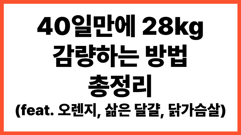 40일만에 28kg 감량하는 다이어트 루틴 총정리(+오렌지, 삶은 달걀, 닭가슴)