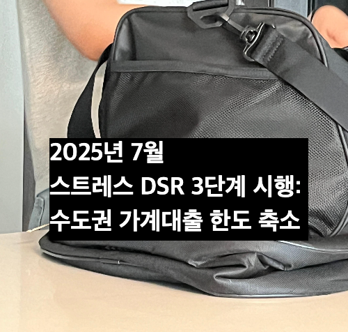 2025년 7월 스트레스 DSR 3단계 시행: 수도권 가계대출 한도 축소에 대해 알아보자 — 드로잉마망의 하루