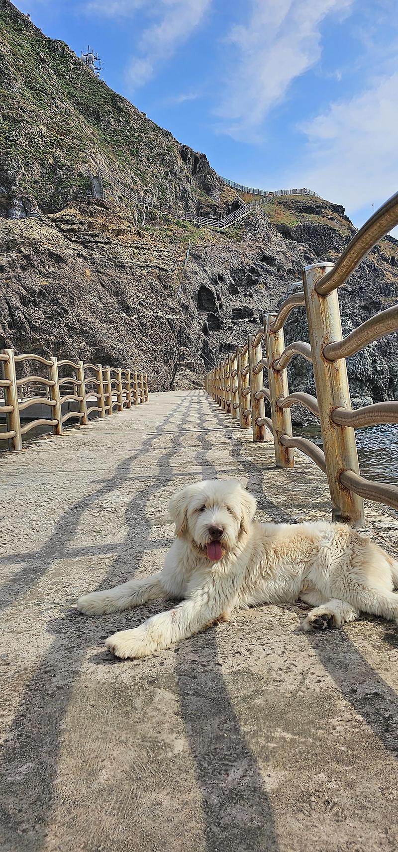 Python 280제] 파이썬 EXPRESS CHAPTER 9. 도전문제 p433