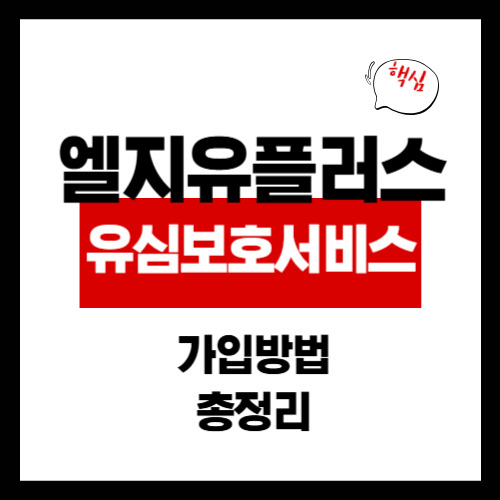 LG유플러스 유심(USIM) 보호 서비스 가입 방법 총정리