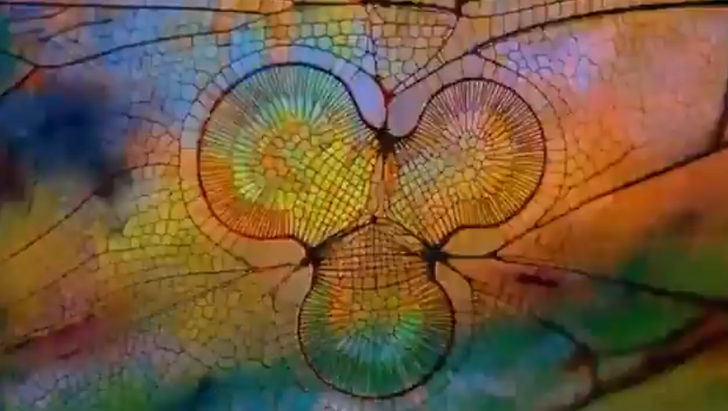 XRP Army가 말하는 새로운 Ripple 광고; ''어떤 것들은 단지 우연한 기회나 행복한 우연 이상의 것입니다."