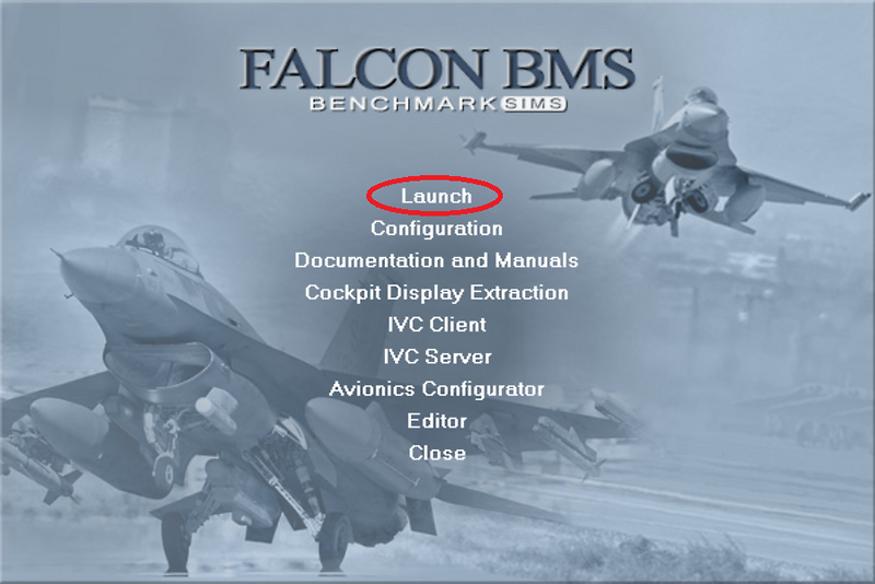 Falcon 4.0 BMS - 설정