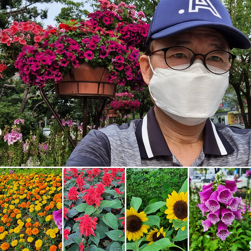 [https://tistory3.daumcdn.net/tistory/3104354/skin/images/980234.png]