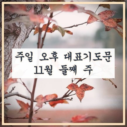 주일 오후 찬양 예배 대표 기도문 11월 둘째 주