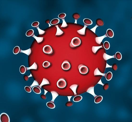 질병관리청 코로나19 예약관리 시스템 (https://ncvr.kdca.go.kr)