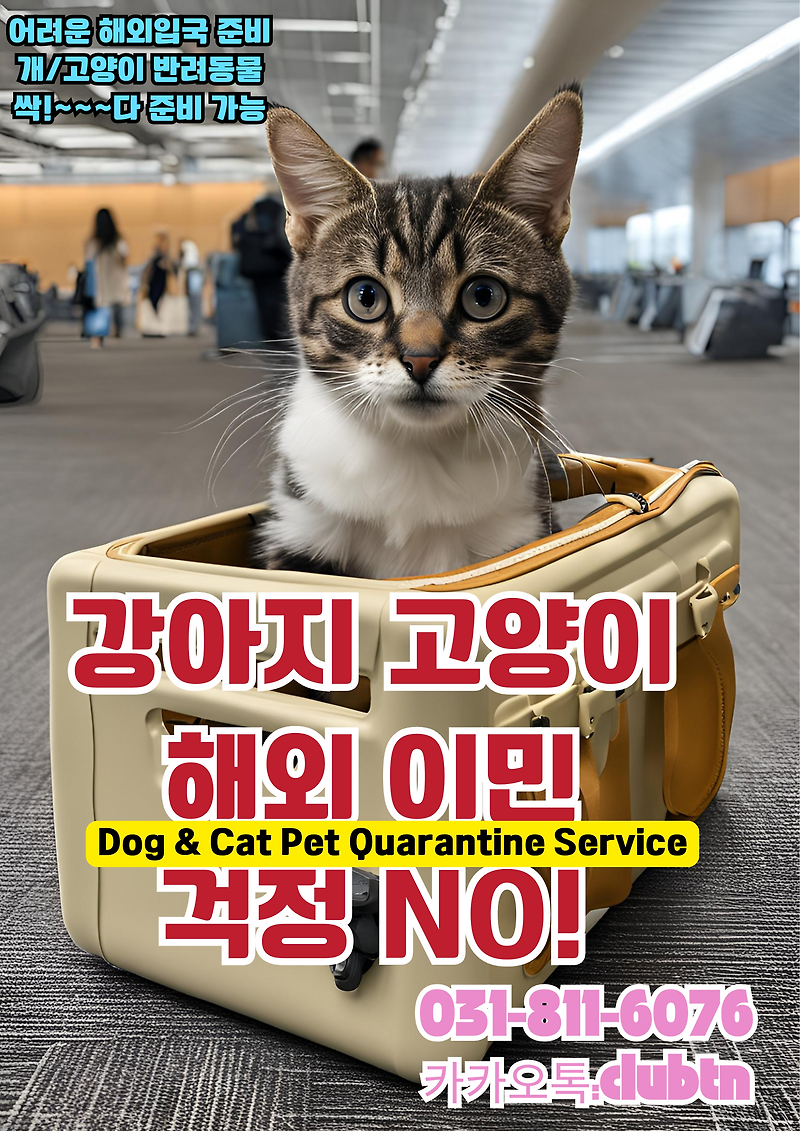 Dog Cat Immigration Service PetOverseas PET Traveling 강아지해외이민 고양이해외이민 ...