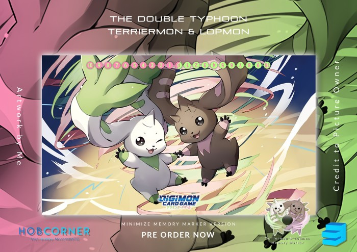 [ST17] 더블 타이푼 미리보기