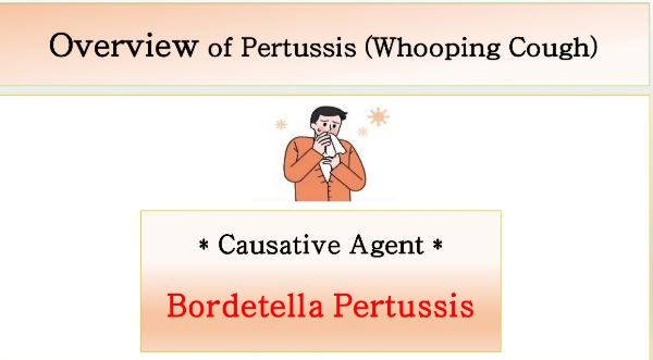 Overview of Pertussis (Whooping Cough)