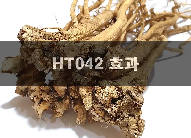 키 성장의 비밀을 HT042 밝혀내는 성장 판 활성화의 원리