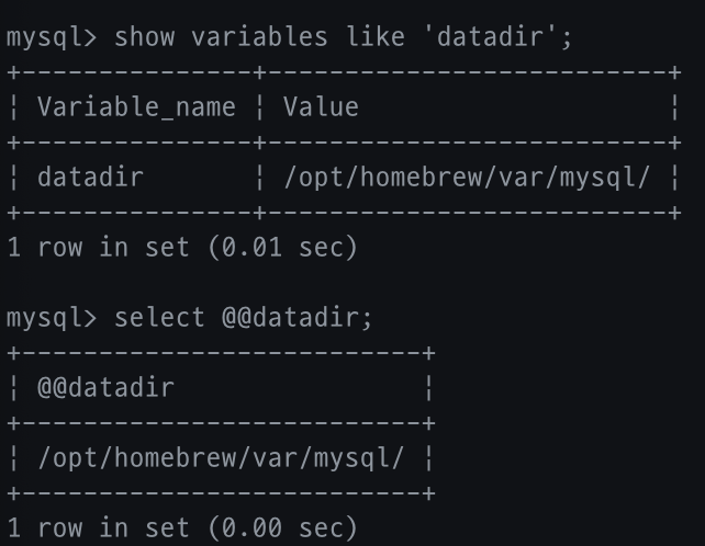 맥 m1 mysql 데이터베이스 경로(위치) 찾기 — 꾸준히 성장하는 개발자스토리