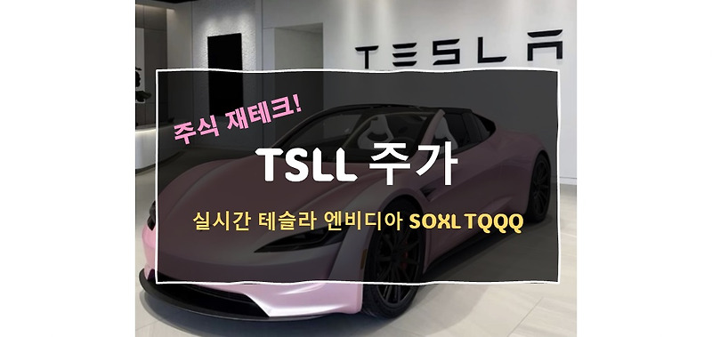 TSLL 주가 실시간 테슬라 엔비디아 SOXL TQQQ
