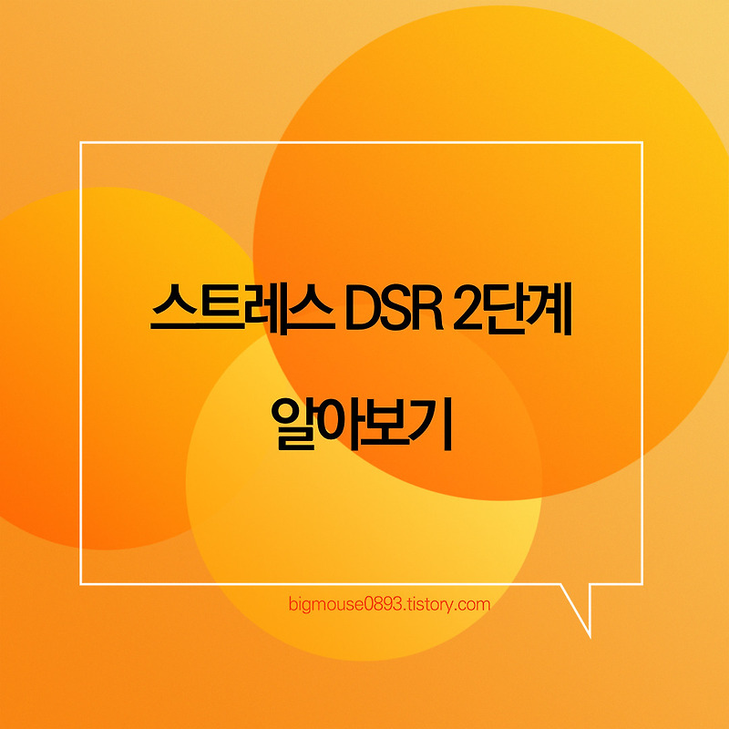 대출한도로 보는 스트레스 DSR 2단계