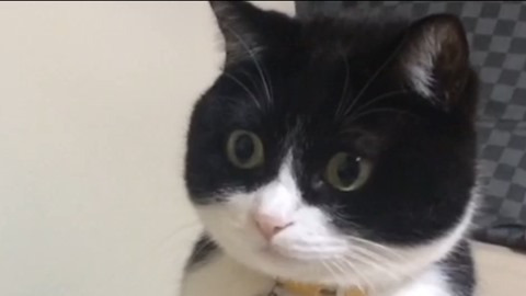 [Java] HashMap 안의 데이터 확인하기 - HashMap.entrySet()