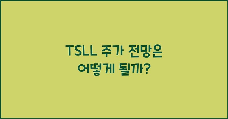 TSLL 주가 전망은 어떻게 될까?
