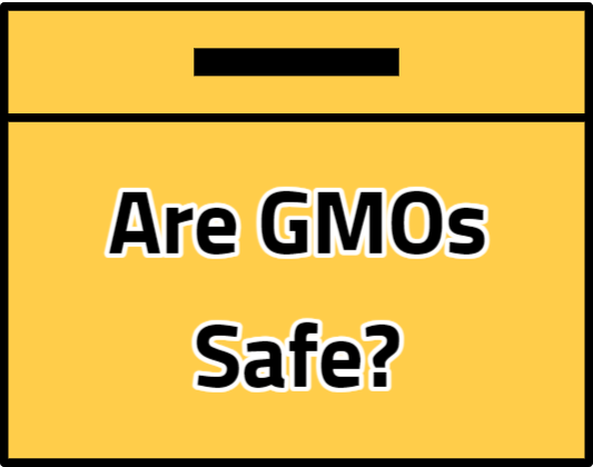 Decoding GMOs: Unveiling the Science Behind Controversial Foods