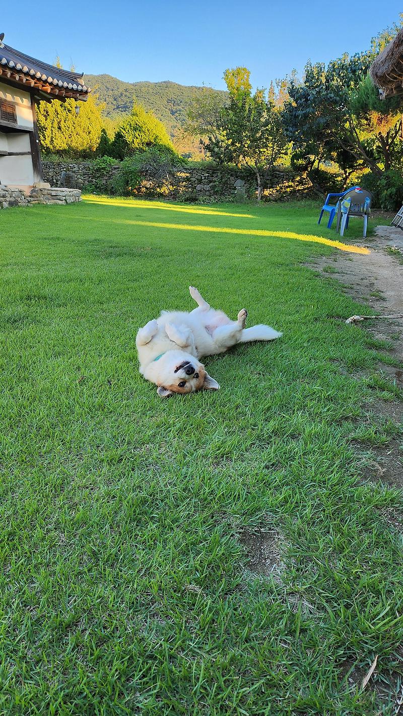 핫플 페이지 마무리 겸 정리하기 (2) — ys2 notepad