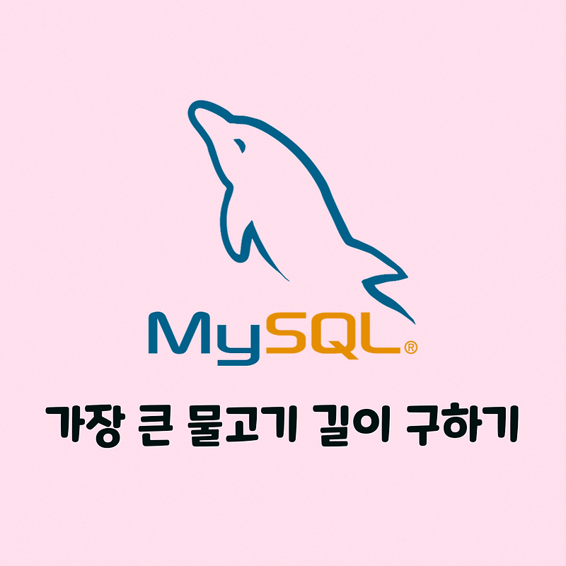 [Programmers / MySQL] 잡은 물고기 중 가장 큰 물고기 길이 구하기 — ㅎ.ㅎ
