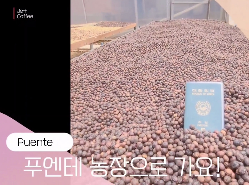 코스타리카 Puente Tarrazu San Martin Geisha Double Fully Washed