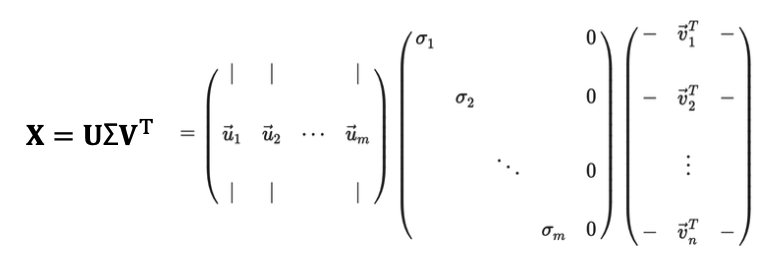 Matrix Factorization