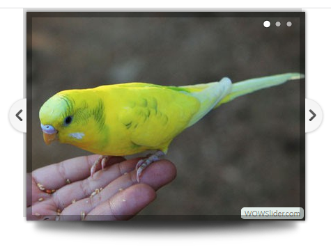 윤샘컴교실 (^(oo)^) YoonSemComClassroom :: 000(jQuery) 자스&제이쿼리 플러그인(plug-in) 갤러리 setup.exe 모듈소스 / (가격)
