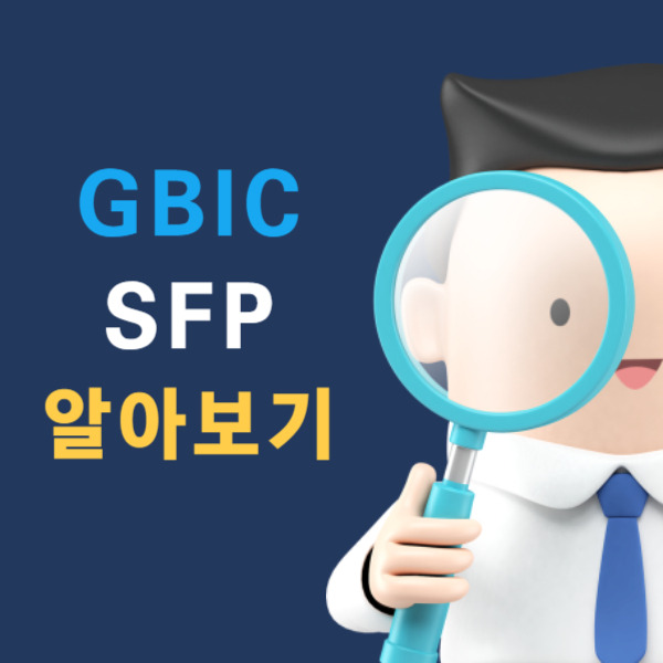 네트워킹 초보자를 위한 GBIC vs SFP 완벽 가이드 :: 소리창고