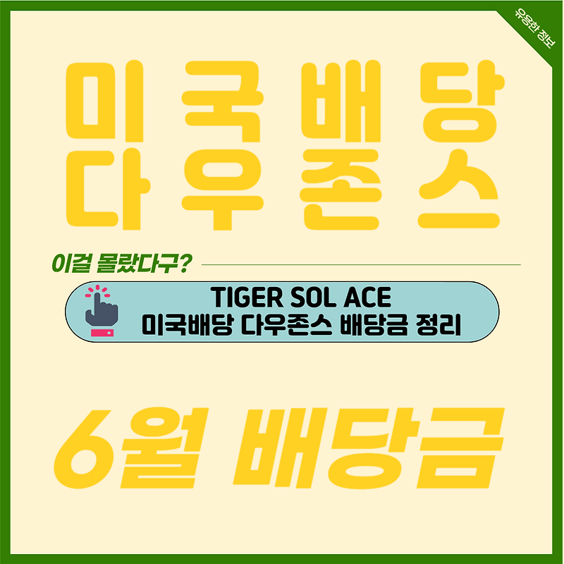 월배당 ETF, TIGER SOL ACE 미국배당 다우존스 6월 배당금 결과 - 리치프룻