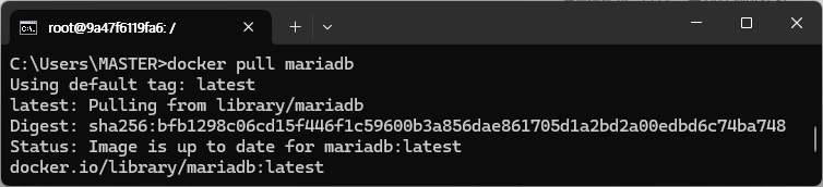 Docker MariaDB 작업 환경 구축하기
