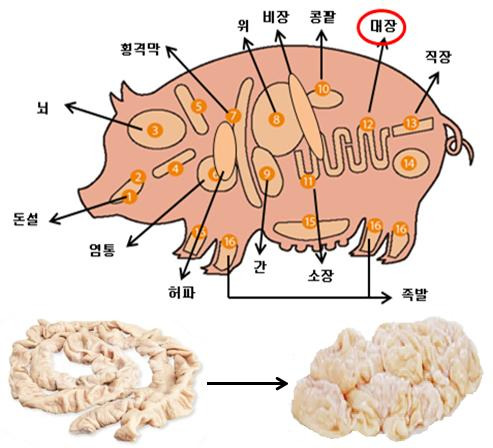 돼지 부산물, 대장(대창), 삶은것(Pork edible offal, Large intestine, Boiled) 열량 및 영양성분