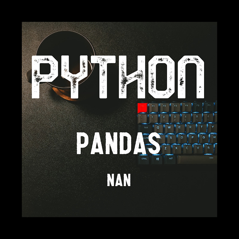 PYTHON PANDAS - NaN