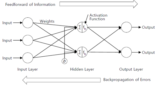 Feed Forward Model