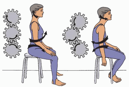 관절 중심화(Joint Centration)의 개념