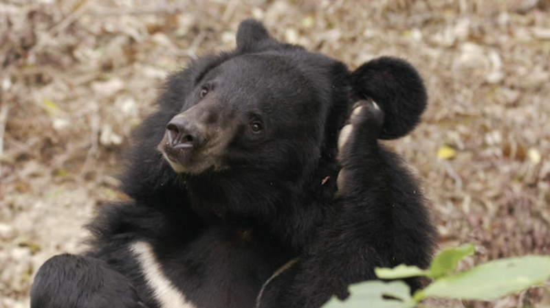 자연과 사람의 이야기, 구례로 떠난 4일간의 여정 EBS1 고향민국 구례 편 리뷰